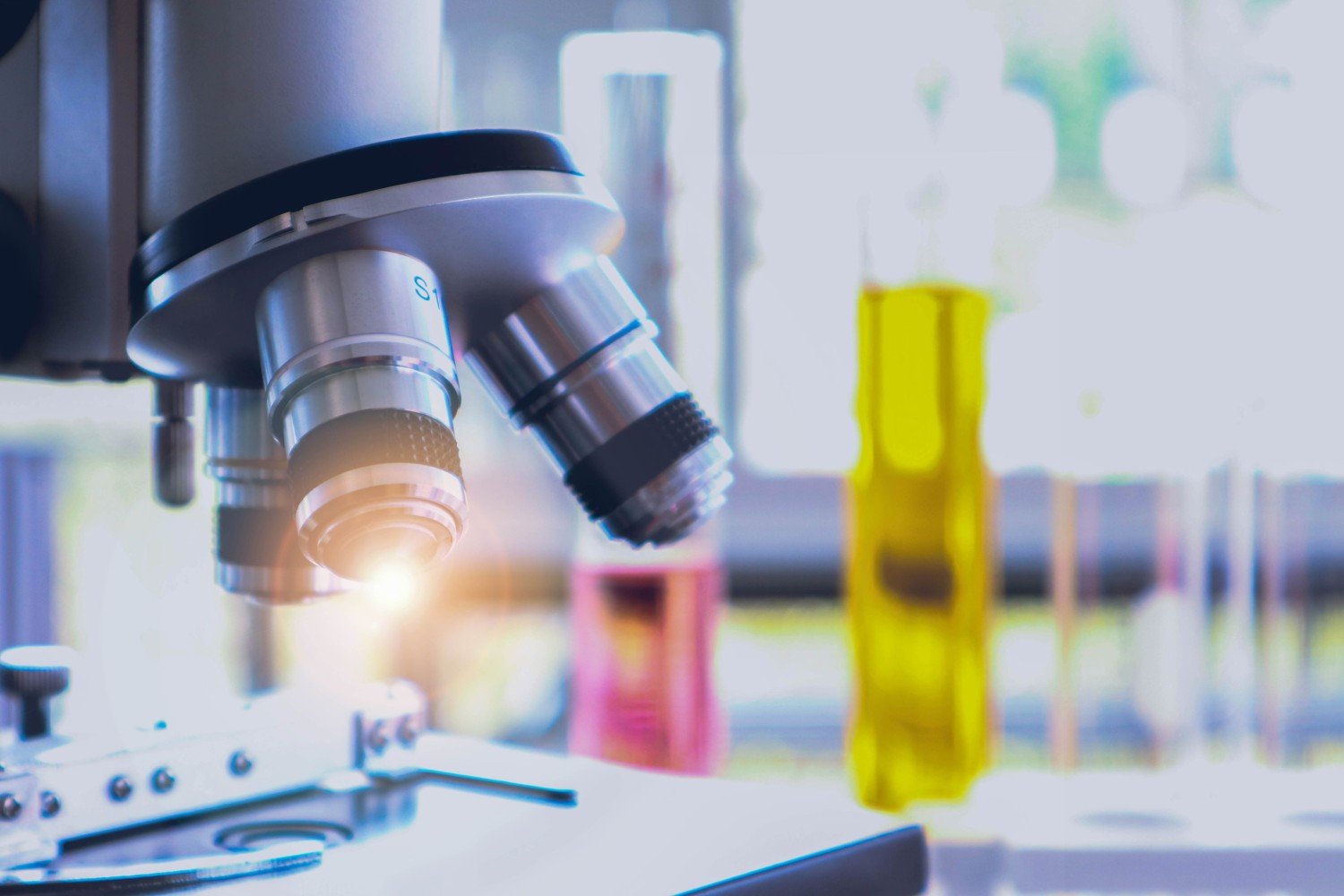 Supporting collaborative research between New Zealand and China ...
